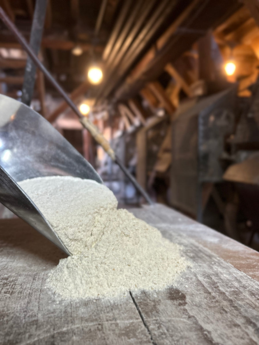 Einkorn Flour - Nature’s First Wheat – Online Arva Flour Mill
