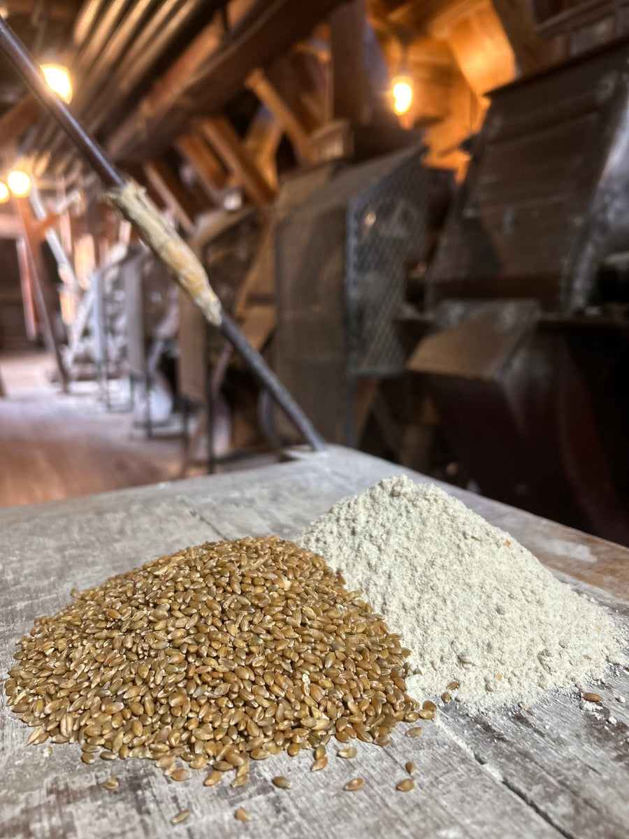 Einkorn Flour - Nature’s First Wheat – Online Arva Flour Mill