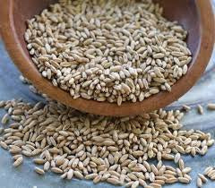 Triticale Flakes 500g – Online Arva Flour Mill