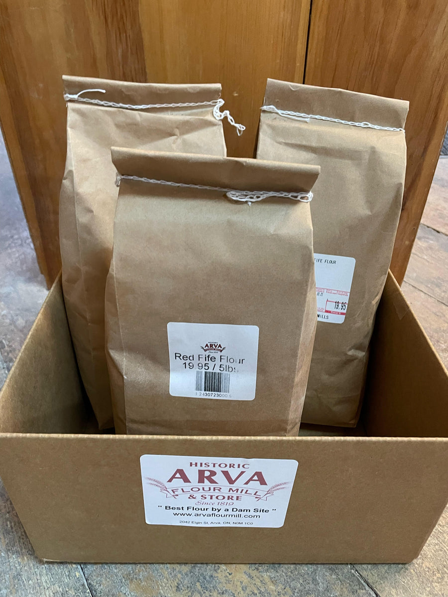 New! Our Red Fife Flour 5lbs 3 Pack – Online Arva Flour Mill